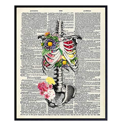 Anatomical Skeleton Dictionary Wall Art - 8x10 Anatomy Wall Decor for ...