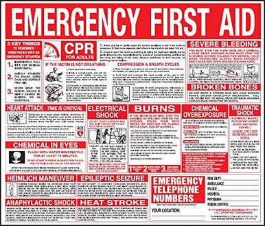 First Aid Wall Chart 22x26 - Warehousesoverstock