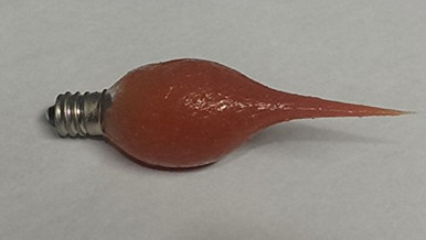 On The Bright Side - Scented Silicone Light Bulb - Pack of 3 - Maple ...