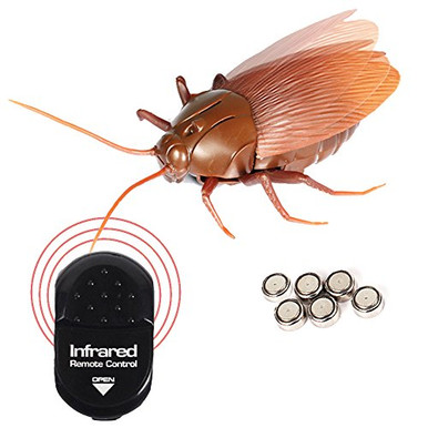 Running Ant Remote Control Cockroach Realistic Prank Cockroach Prank ...