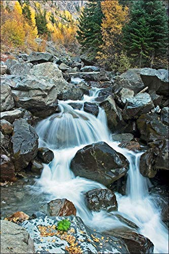 Photograph of a Mountain Stream with a Tranquil Waterfall among the ...