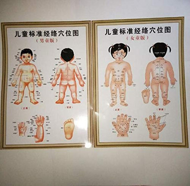 WellieSTR 2 Stlye 51x71cm 20x28inch Tuina Acupuncture Points Standard ...
