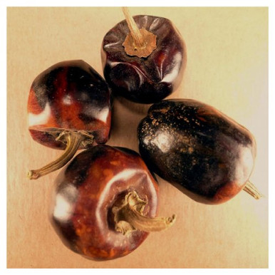 Chili Pepper Cascabel - 8 oz Pouch - Warehousesoverstock