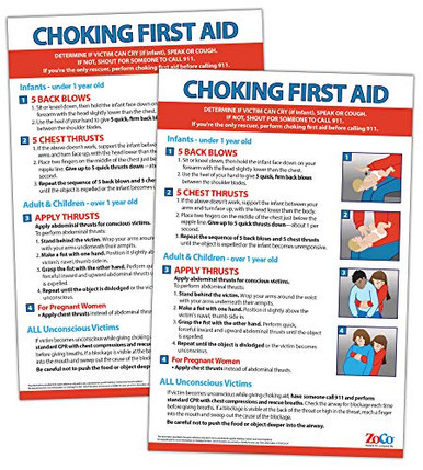 2 Poster Pack First Aid Choking Posters - Choking Posters Laminated ...