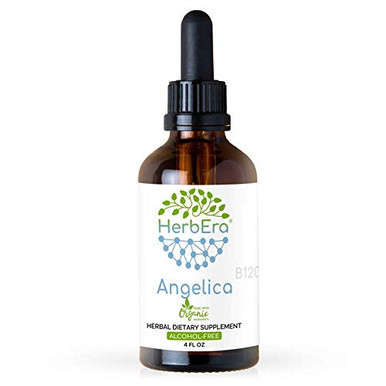 Angelica B120 Alcohol-Free Herbal Extract Tincture Organic Angelica ...