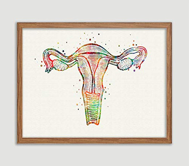 Uterus Watercolor Poster Gynecology Anatomical Art Human Organs Print ...