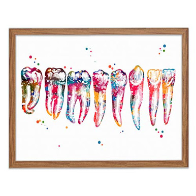Teeth Diagram Watercolor Print Dental Art Teeth Anatomical Wall Decor ...