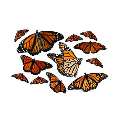 Monarch Butterfly Decal Set - Sizes shown in Second Example Image ...