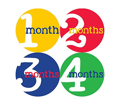 Primary Color Baby Month Stickers - Set of 16 - Like Shown ...