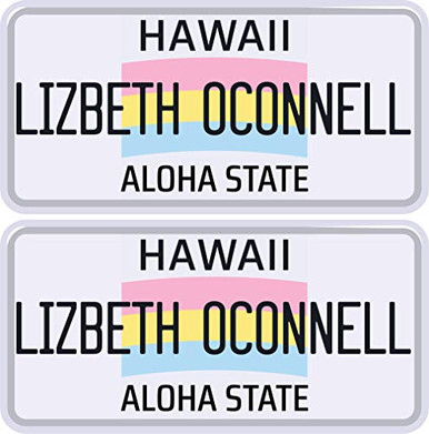 Custom Name Labels Us License Plate Design Personalized Name Waterproof ...