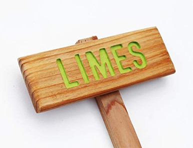 LIMES Rustic Tree Sign Hand Routed Citrus Tree Garden Sign Tree Markers ...