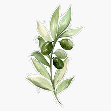 Leyland Designs Olive Tree Sticker Outdoor Rated Vinyl Sticker Decal ...
