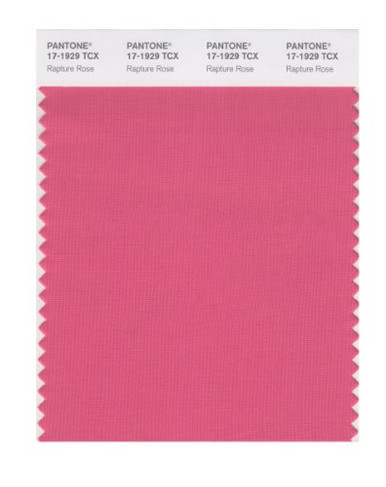 PANTONE Smart 17-1929X Color Swatch Card Rapture Rose - Warehousesoverstock