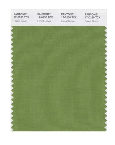 PANTONE Smart 17-0230X Color Swatch Card Forest Green - Warehousesoverstock