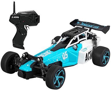 Blexy RC Racing Car Radio Remote Control Cars 2.4GHz 1/24 Scale Racing ...