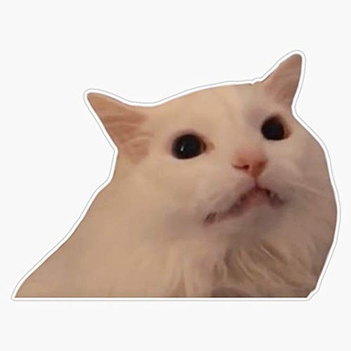 Leyland Designs White Cat Meowing Meme Sticker Outdoor Rated Vinyl ...