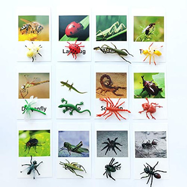 Montessori Animal Match - Insect Animal Figurines with Matching Cards ...