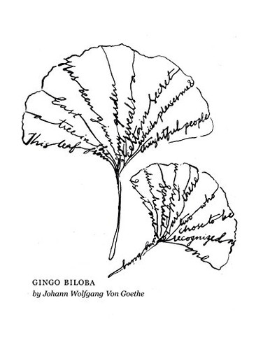 Gingko Botanical art print or poster - Goethes poem - Gingo Biloba poem ...