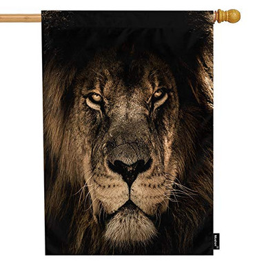Moslion Lion House Flag Wild King of Animals Lion Head Cruel Eyes Brown ...