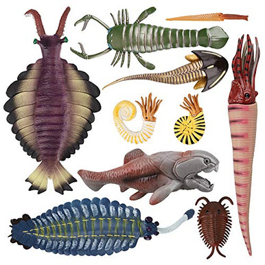 TOYMANY 10PCS Cambrian Sea Creature Animal Figurines Plastic Ancient ...