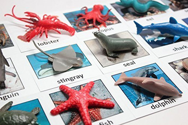 Montessori Animal Match - Miniature Ocean Animals with Matching Cards ...