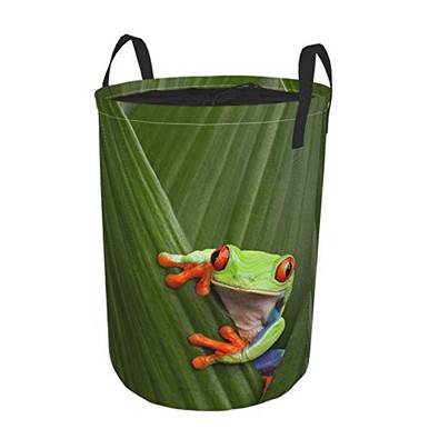 Janrely Large Round Storage Basket with HandlesRed Eyed Tree Frog ...