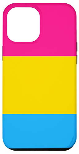 iPhone 12 Pro Max Proud Pansexual Pan Pride Month Gift Pansexual Flag ...