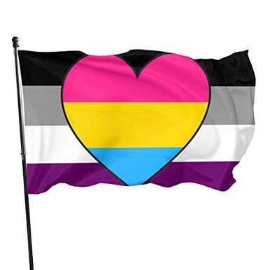 MINIOZE Asexual Ace Panromantic Pan Heart Pride Flag Themed Welcome ...