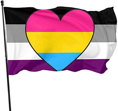 XIAYUTIAN Asexual Ace Panromantic Pan Heart Pride Flag Themed Welcome ...