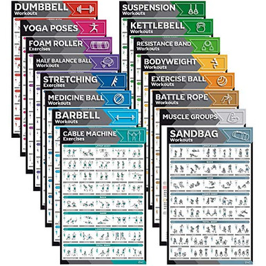 16-Pack Laminated Large Workout Poster Set - Perfect Workout Posters ...