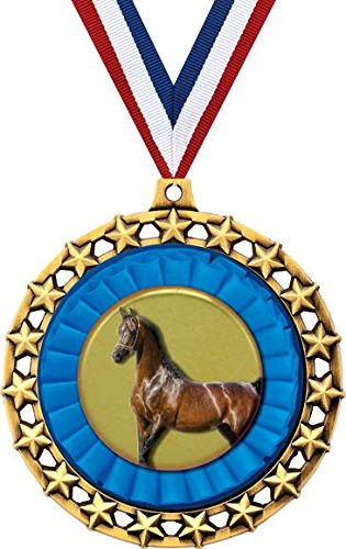 Arabian Horse Medal, 2 1/2 inch Galaxy Star Horse Show Medals, Great ...