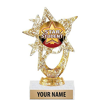 5.5 inch Gold Glitter Star Student Trophies, Custom Astral Star Star ...