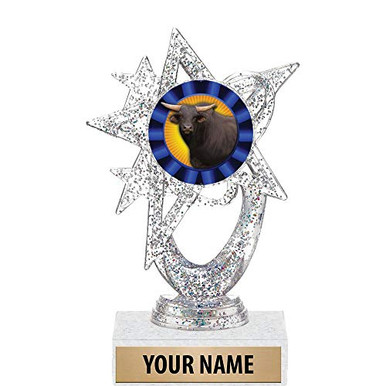5.5 inch Silver Glitter Bull Trophies, Custom Astral Star Bull Trophy ...