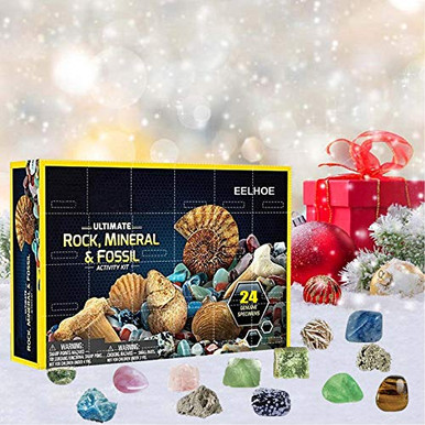 Rocks and Fossils Kit, Earth Science Kit, Rock and Mineral Collection ...