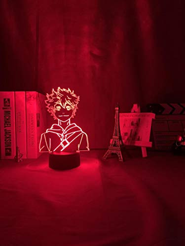 3D Night Lights for Kids Anime Haikyuu Hinata Shoyo Kageyama Tobio ...