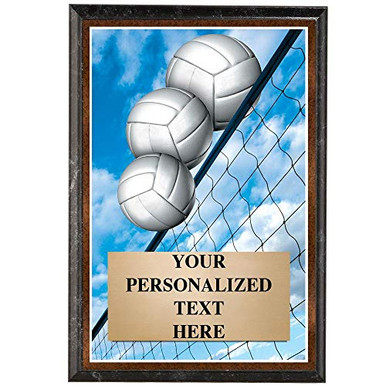 Volleyball Plaques, 5 x 7 Show Stopper Volleyball Coach Trophy Plaque ...
