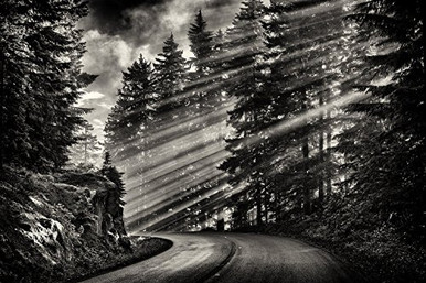 Fine Art Black and White Photography, Landscape Photography, Black and ...