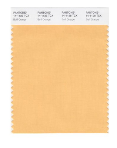 PANTONE Smart 14-1128X Color Swatch Card Buff Orange - Warehousesoverstock