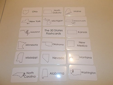 50 Laminated States of the United States of America Identification ...