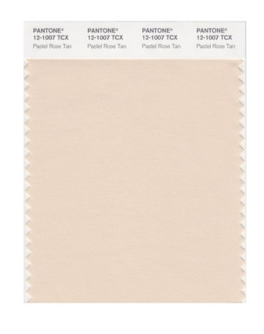 PANTONE Smart 12-1007X Color Swatch Card, Pastel Rose Tan ...