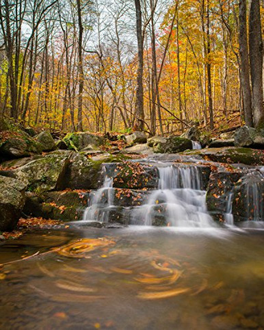 Red Rose Trail Waterfall Skyline Drive Shenandoah National Park ...
