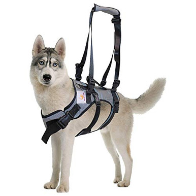 PET FRIENDZ Dog Lifting Harness for Front and Rear Legs - Dog Sling for ...