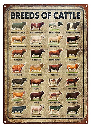 Vintage Metal Signs for Garage Breeds Of Cattle Metal Sign, Cow Metal ...