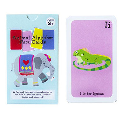 JP DOoDLES Animal Alphabet Flashcards with Fun Facts, Kids Learning ...