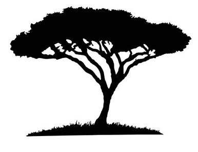 Custom African Acacia Tree Vinyl Decal - Africa Safari Bumper Sticker ...
