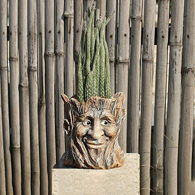 EIIORPO Tree Face PlanterOld Man Tree Face Garden Pots Resin Tree Face ...