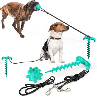 HANAMYA Dog Chew Ball Toy Combination with Portable Tie-Out Stick and ...