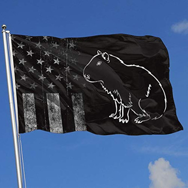 A13UDQ Outdoor Flags USA Flag Capybara Clipart 3X5 Ft Flag for Outdoor ...