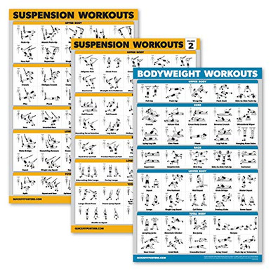 Palace Learning 3 Pack - Suspension Workout Posters - Volume 1 and 2 ...