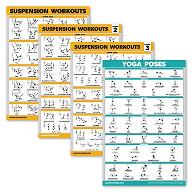 Palace Learning 4 Pack - Suspension Workout Posters Volume 1- 2 and 3 ...